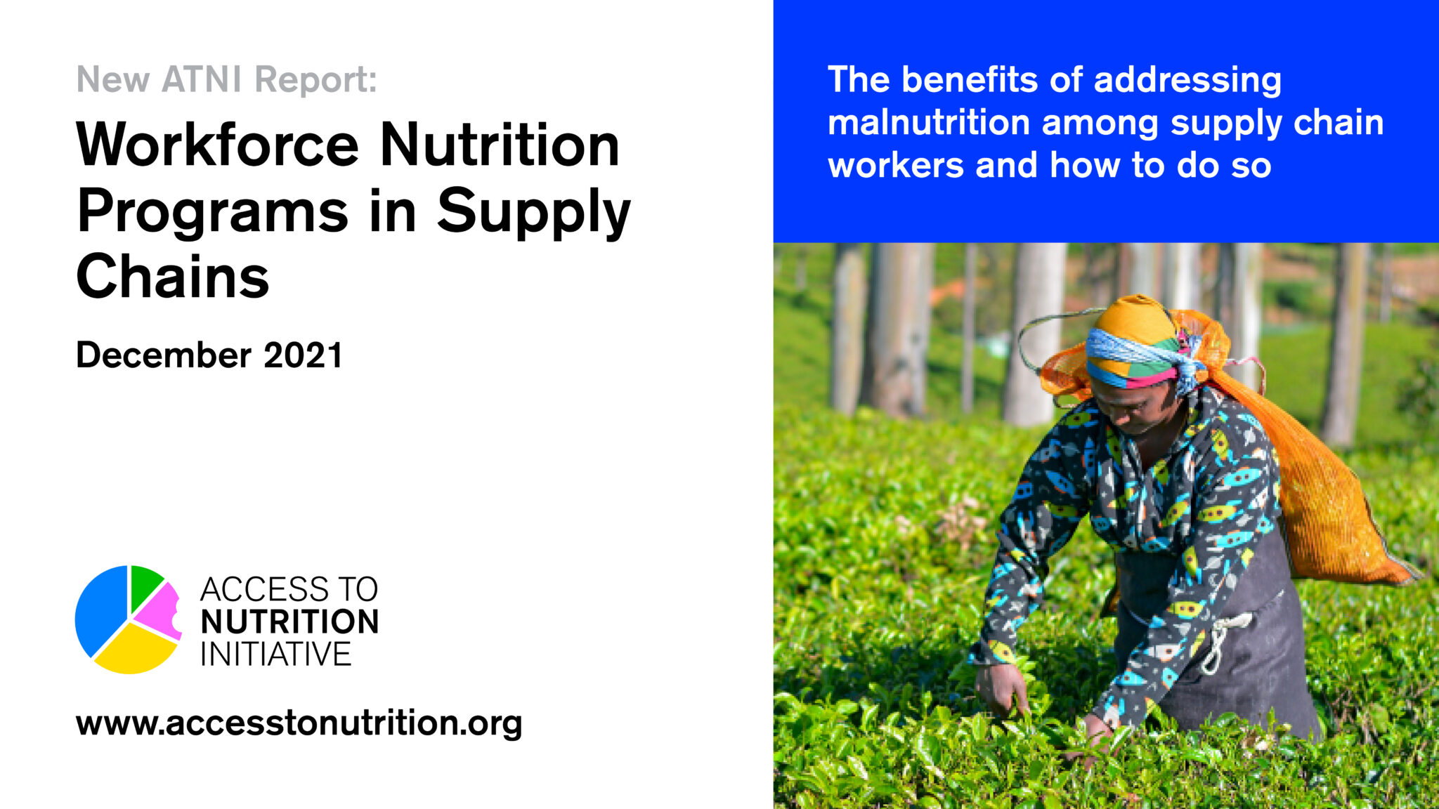 Building the business case for workforce nutrition - a timeline – ATNi ...