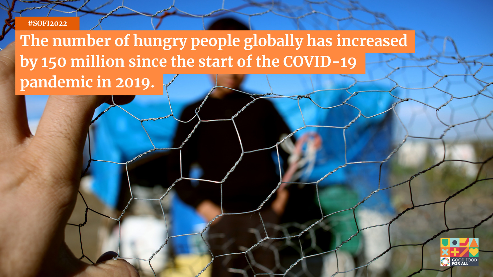 SOFI 2022 -Stakeholders Urgently Need to Tackle Global Hunger and ...