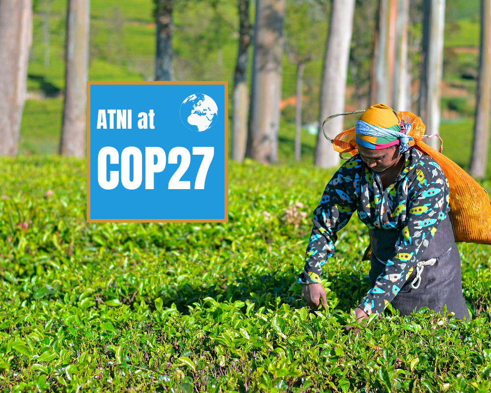 ATNi amplifying the nutrition voice at COP27 – ATNi (Access to ...