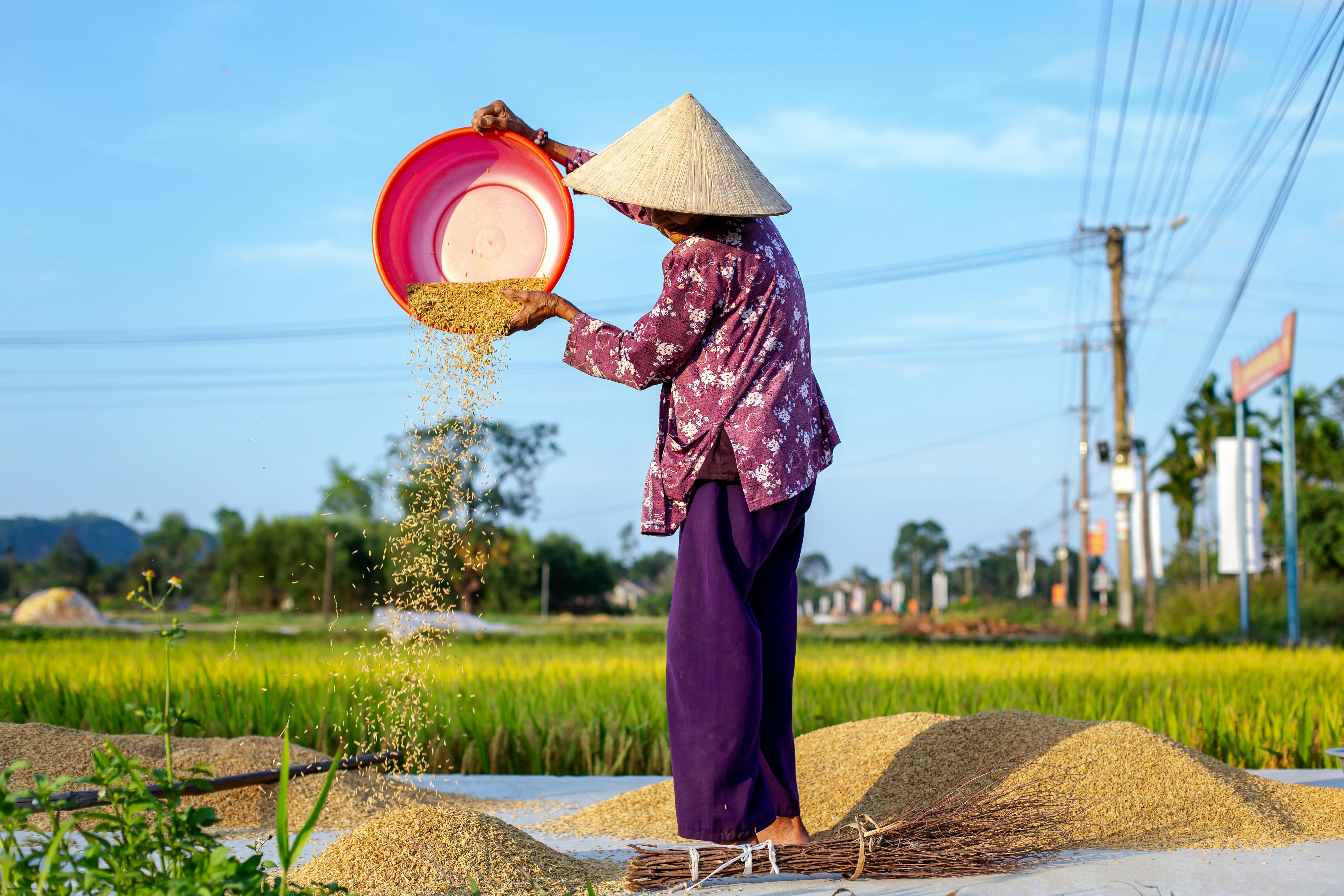 ATNi joins the Zero Hunger Private Sector Pledge – ATNi (Access to ...